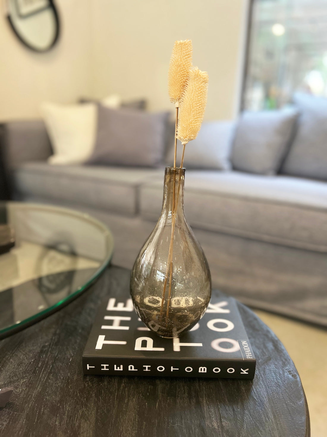 CARDO BLANCO – Huella Austral